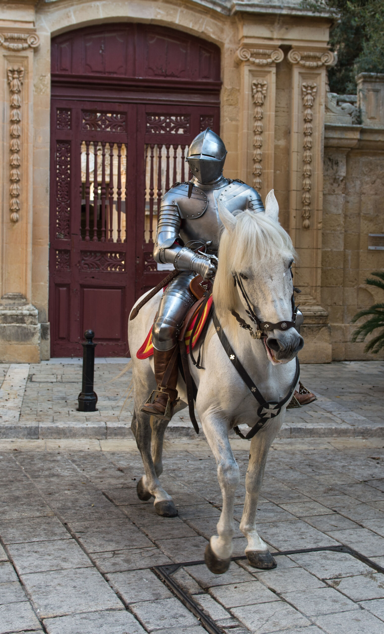 Il-Kavallieri mill-ġdid f'Malta - jitfakkar l-anniversarju meta l-Ordni ...
