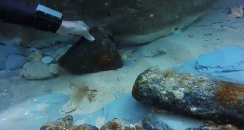 Watch: seabed near Filfa is full of bomb debris - TVMnews.mt