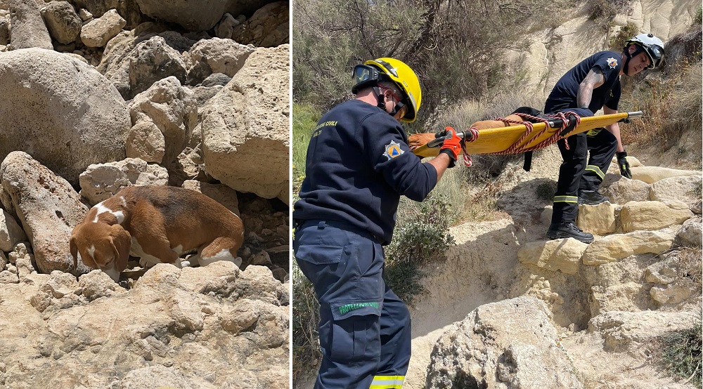 Civil Protection Officials rescue dog trapped inside rocks at Fomm ir ...