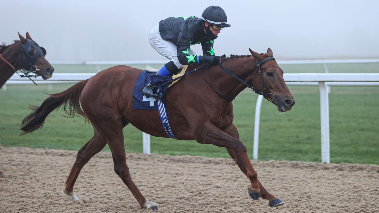 Tiġrijiet taż-żwiemel: Il-ġerrej Benoit de la Sayette sospiż wara li ...