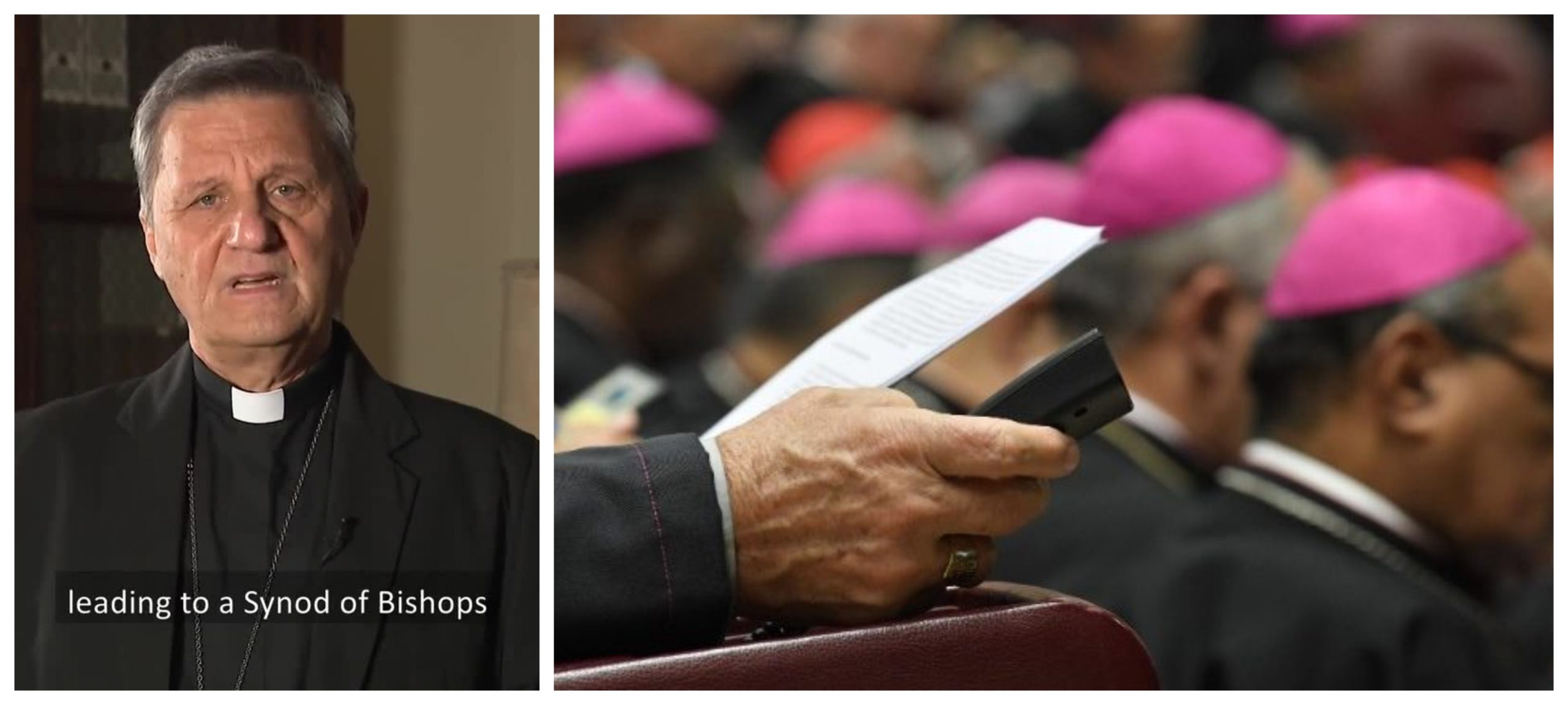 Cardinal Mario Grech announces that the following Bishops' Synod will ...