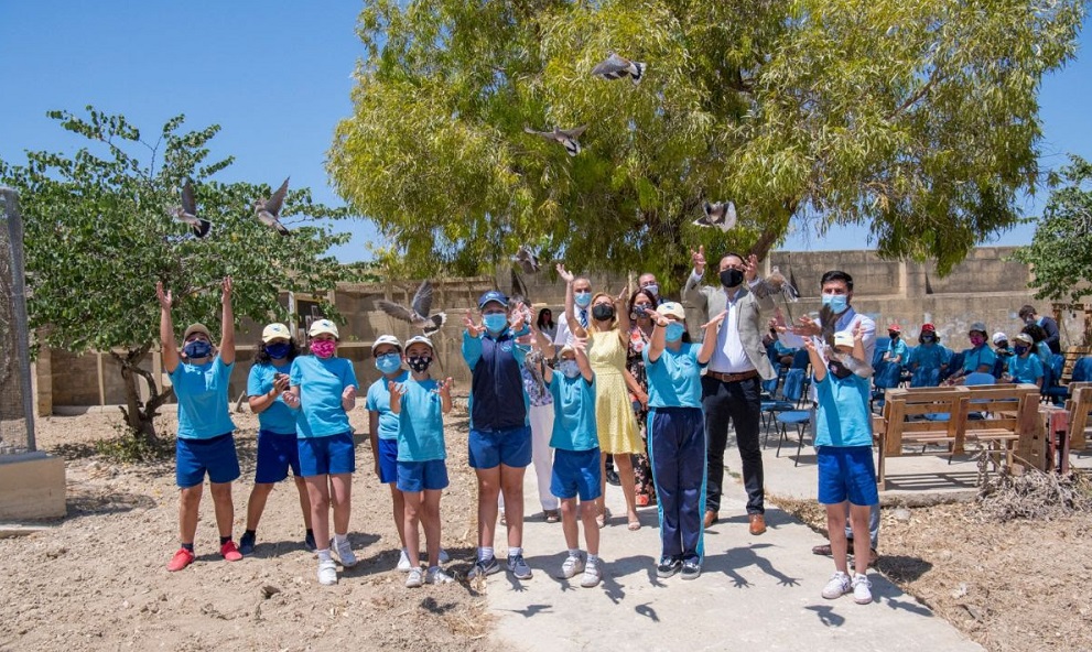 Gamiem jinħeles minn guva fi skola f'Għawdex - TVMnews.mt