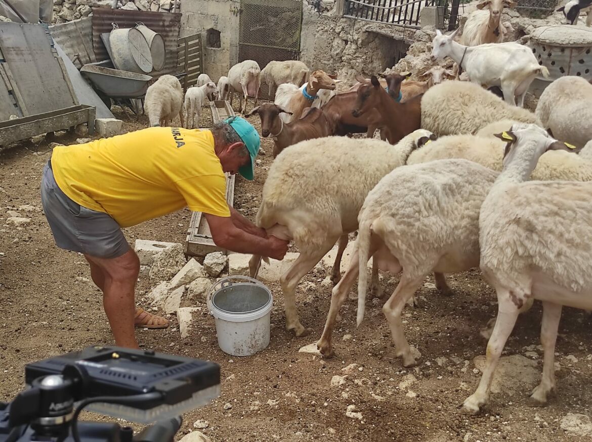 "Immur il-Buskett kuljum. Jaqbadni l-biki li ma nistax nieħu sehem fl ...