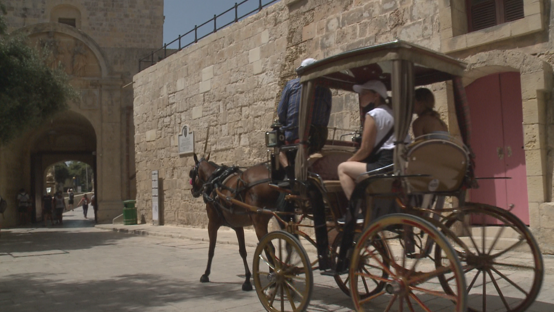 Organisation does not agree that drivers of horse-drawn carriages ...