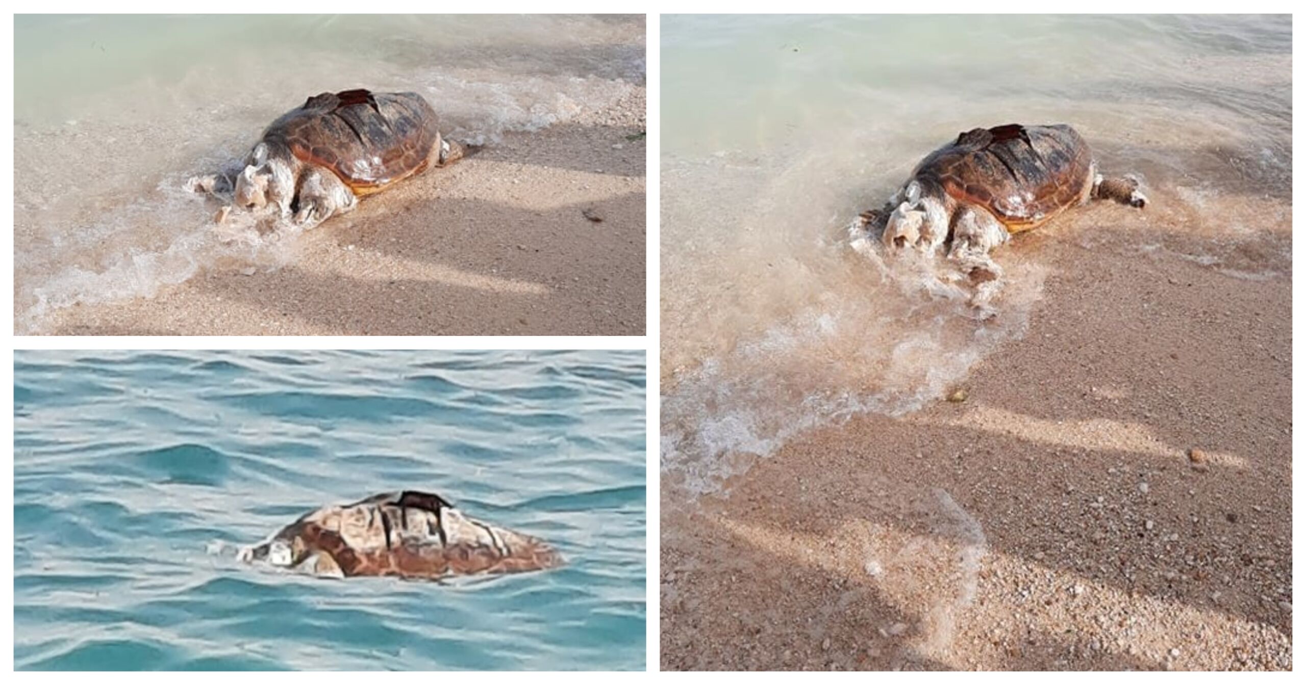 Fekruna tinqatel b’daqqa ta’ opra tal-baħar f’Ħondoq ir-Rummien ...
