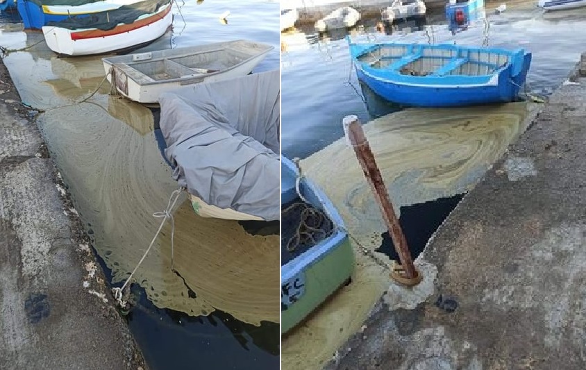 ERA investigates 'sea slime' in the South of Malta - TVMnews.mt
