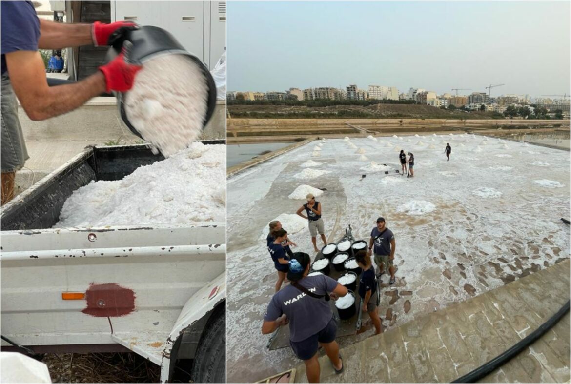 Burmarrad salt pans once more producing salt after an absence of almost ...