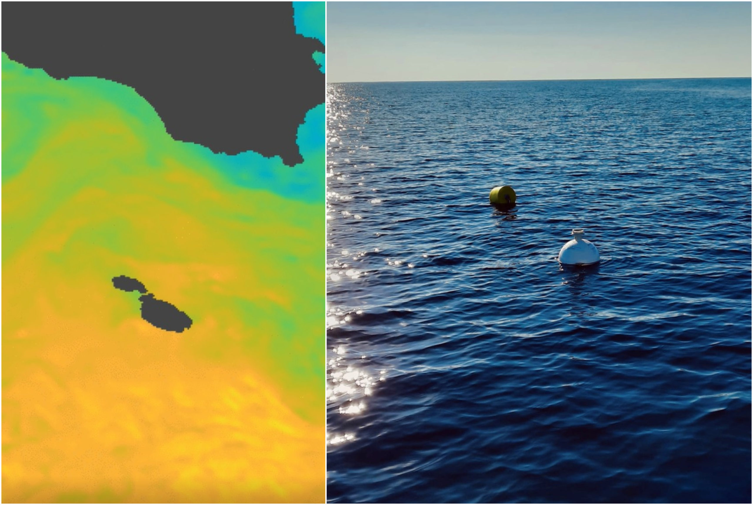 Maltese waters are 2 degrees warmer than normal - TVMnews.mt