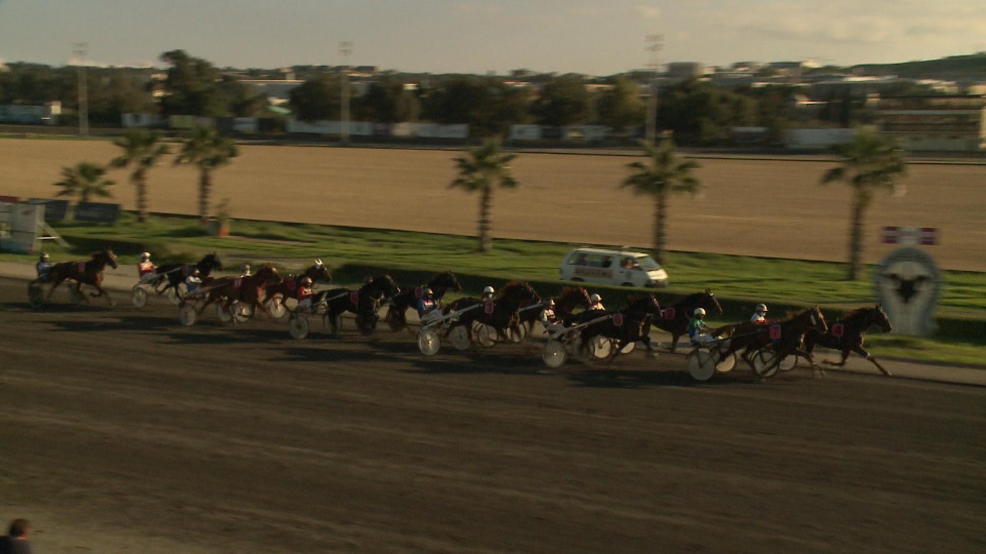 Tiġrijiet taż-żwiemel: Magħrufa l-ewwel finalisti tal-kampjonati ...