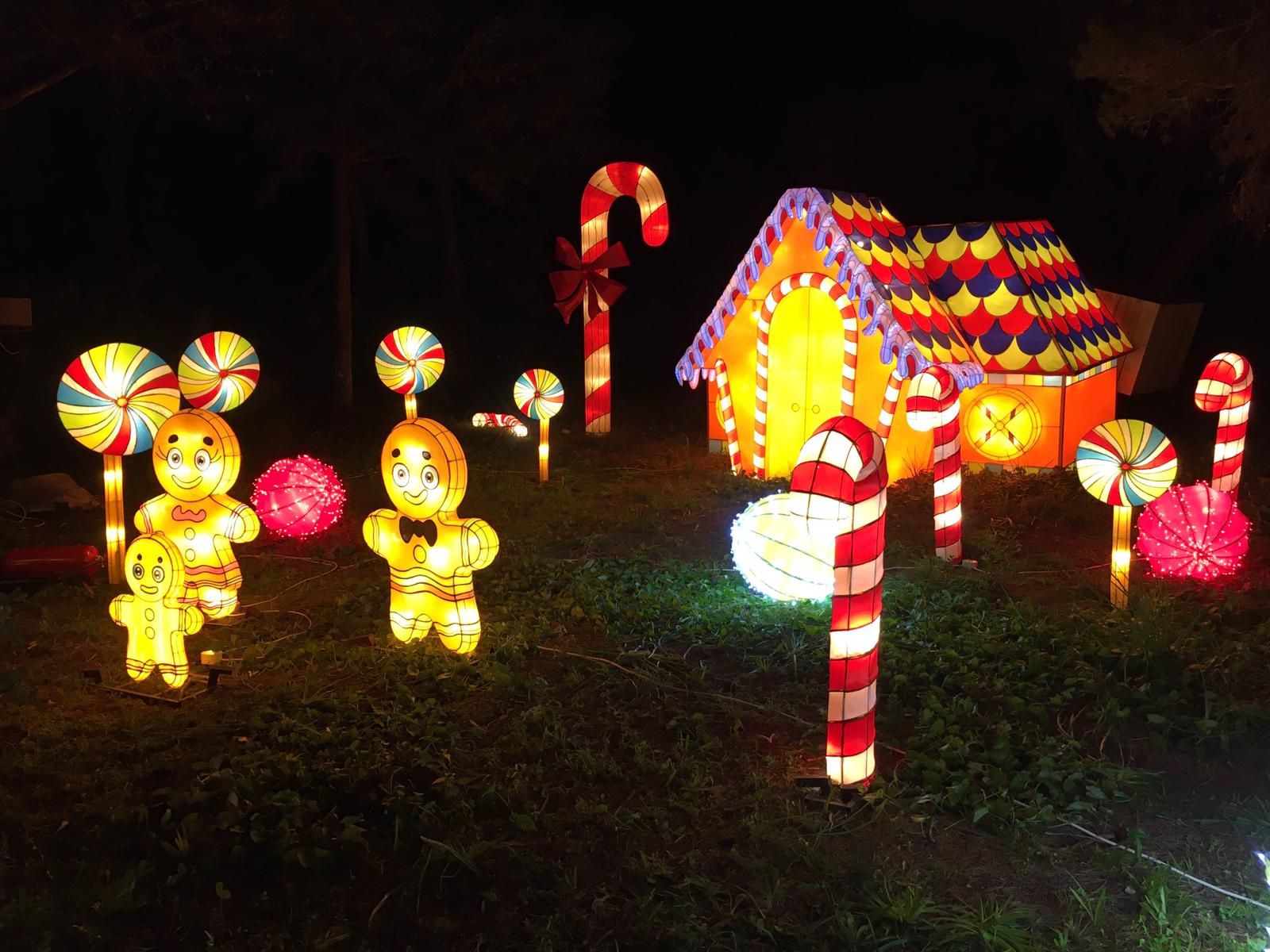 Video: Christmas illuminated trail inaugurated at Verdala Palace ...