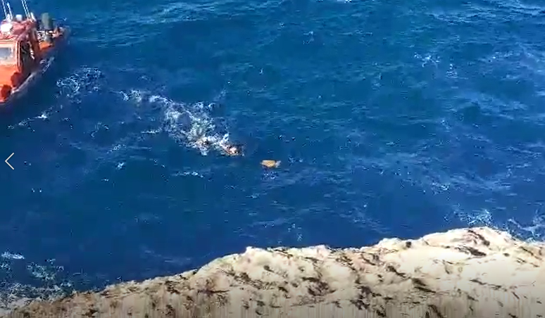 Filmat: jinżlu jgħumu biex isalvaw fekruna iżda jtellgħuha mejta ...