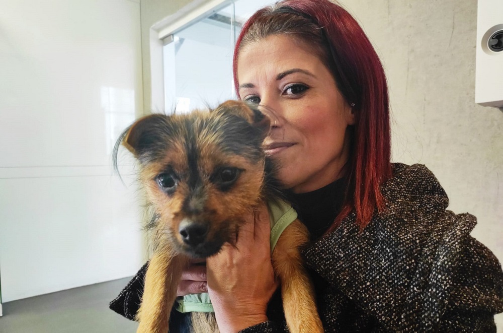 Abandoned dog gives woman renewed will to live - TVMnews.mt