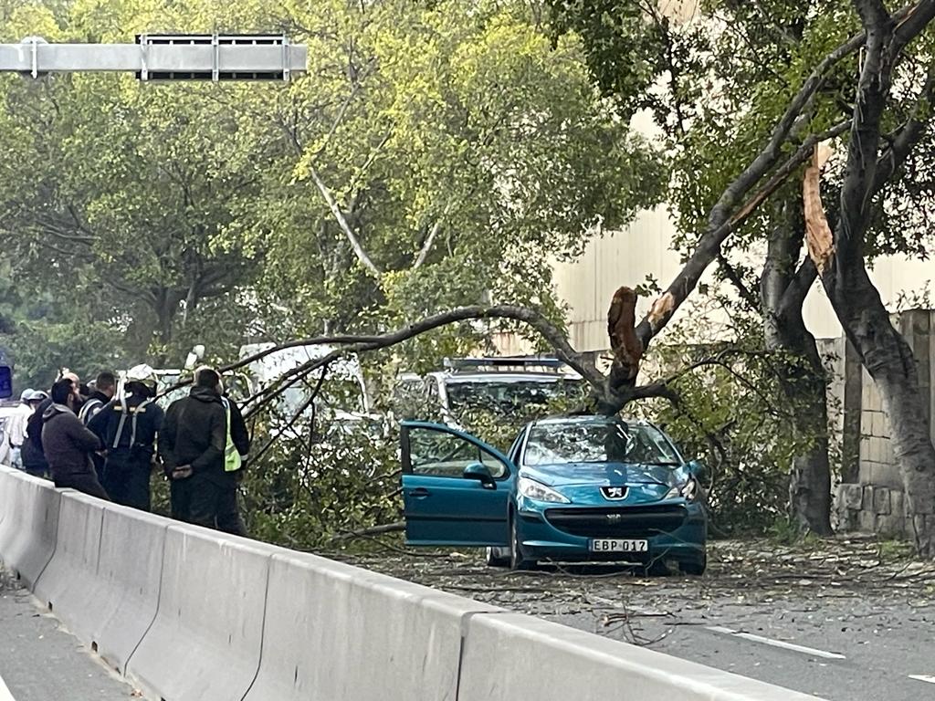 WATCH: Woman in hospital after truck pulls out part of tree in Marsa ...