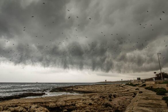 Force 8 strong wind warning in exposed areas - TVMnews.mt