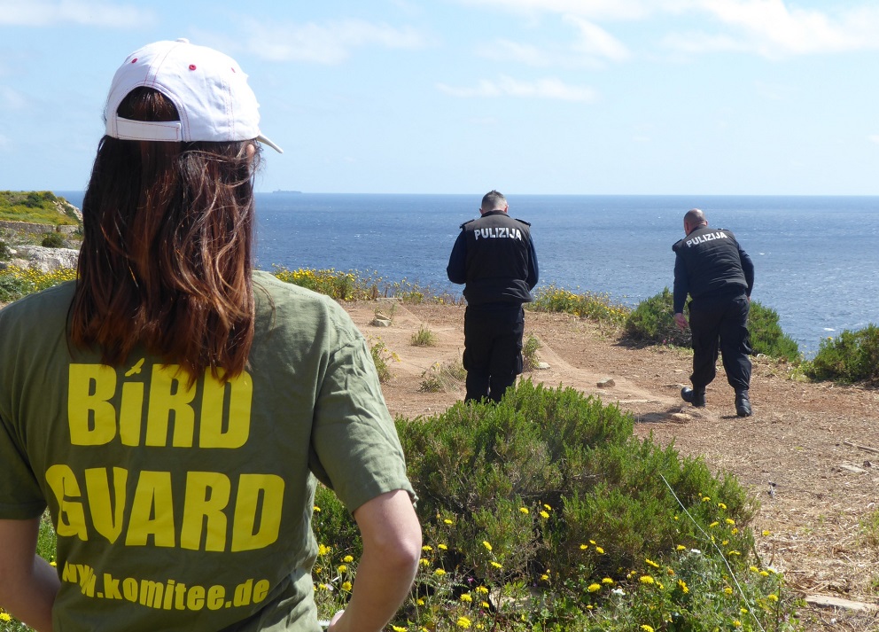 Advocate General of the ECJ declares that Malta's finch-trapping ...