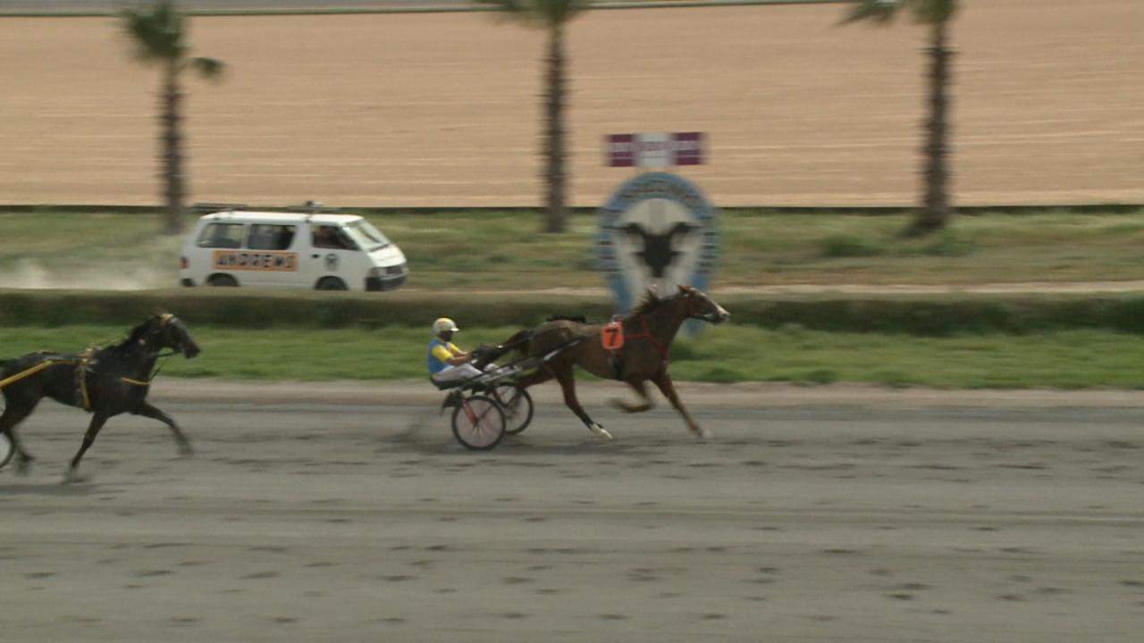 Tiġrijiet taż-żwiemel: Jingħata bidu għat-Tazza l-Kbira - TVMnews.mt