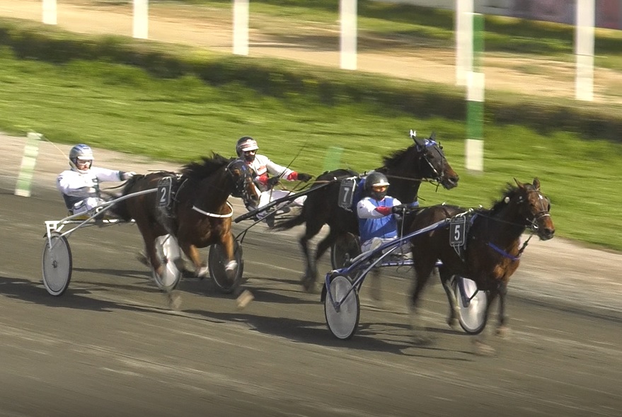 Tiġrijiet taż-żwiemel: Abricot Du Bougey jirbaħ il-Finali Silver ...