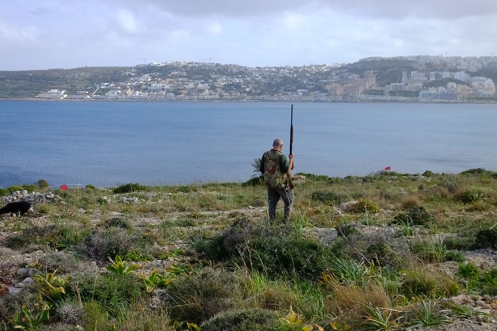 Għada jiftaħ l-istaġun tal-kaċċa fuq is-summiena - TVMnews.mt