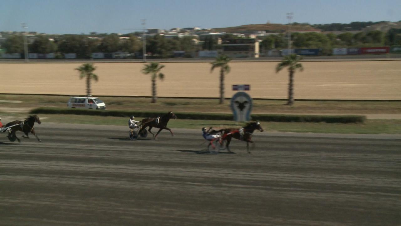 Tiġrijiet taż-Żwiemel - jingħata bidu għall-kampjonati tal-Franċiżi ...