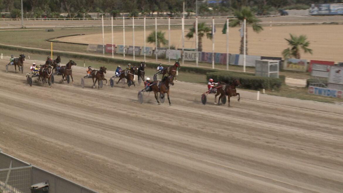 Tiġrijiet taż-żwiemel: Jidħlu fix-xena wkoll iż-żwiemel tal-klassi ...
