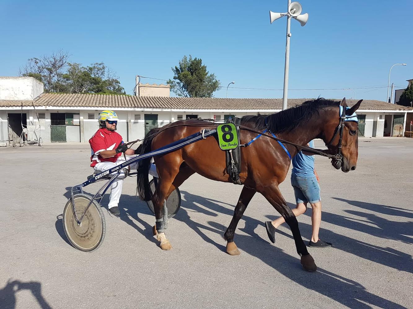 Tiġrijiet taż-żwiemel: Redent Magro fit-tieni post tal-Kampjonat ...