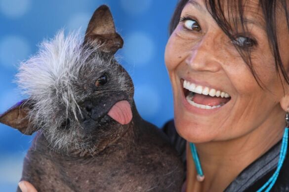 Mr Happy Face Archives - TVMnews.mt