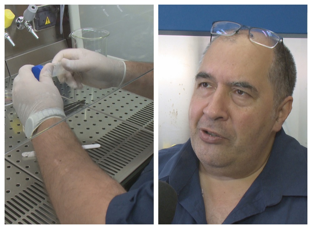 Maltese professor who had cancer is researching different forms of ...