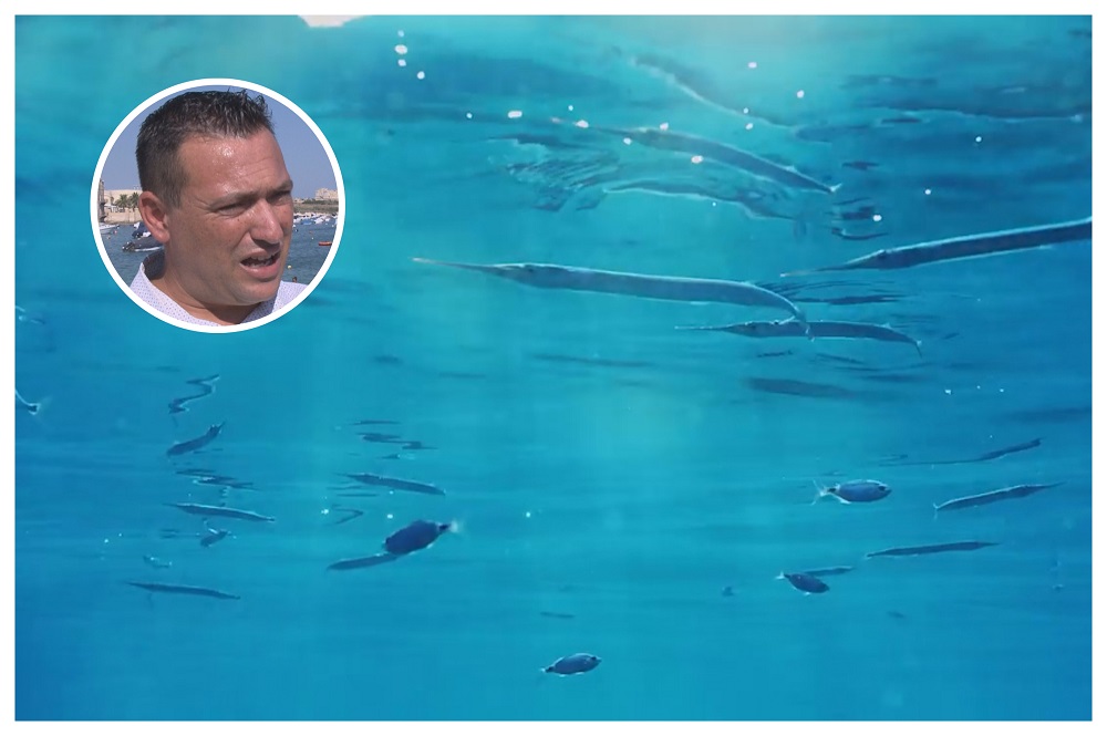 Sea temperature reaches 30 degrees Celsius earlier than usual - TVMnews.mt