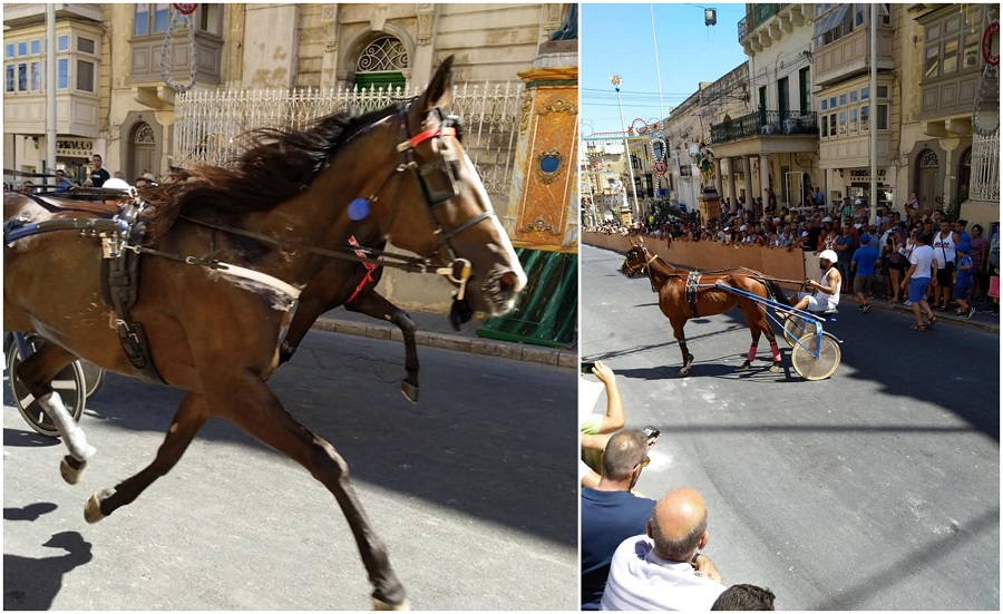 Horse owners disappointed that duration of Santa Maria horse races to ...