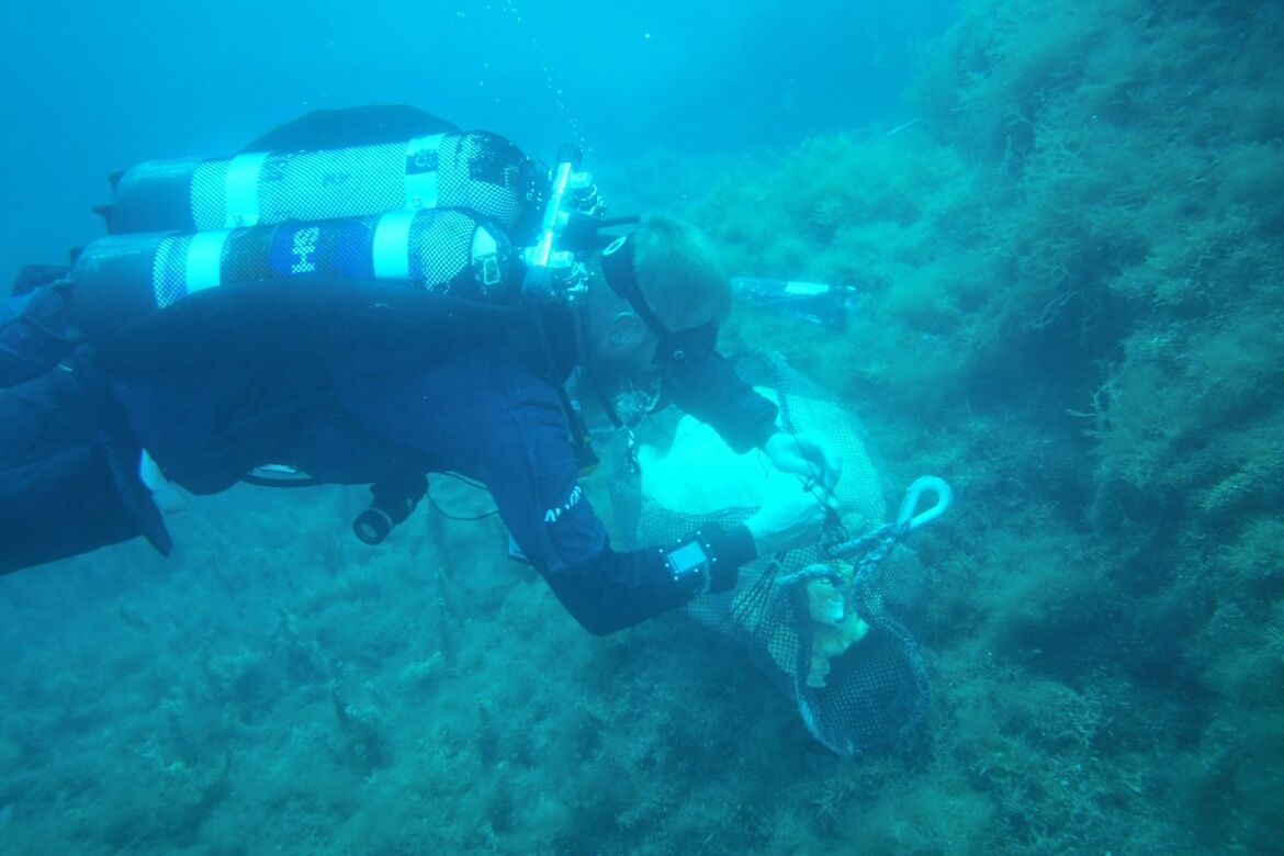 Sunnara u xibka żammew fekruna 'l isfel mingħajr arja f'Wied iż-Żurrieq ...