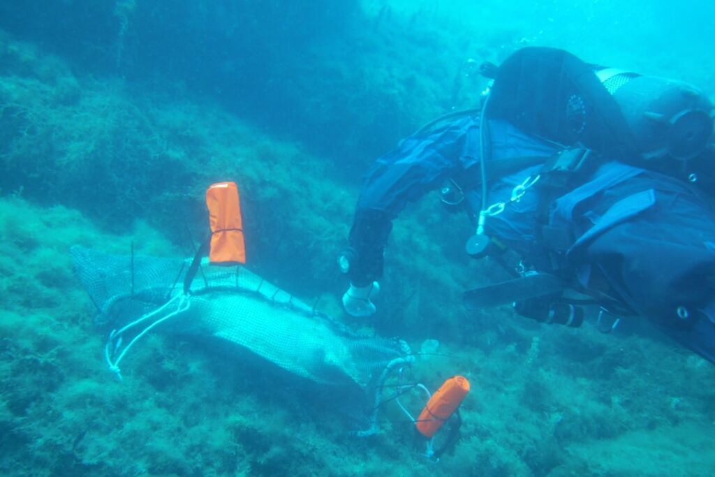 Sunnara u xibka żammew fekruna 'l isfel mingħajr arja f'Wied iż-Żurrieq ...