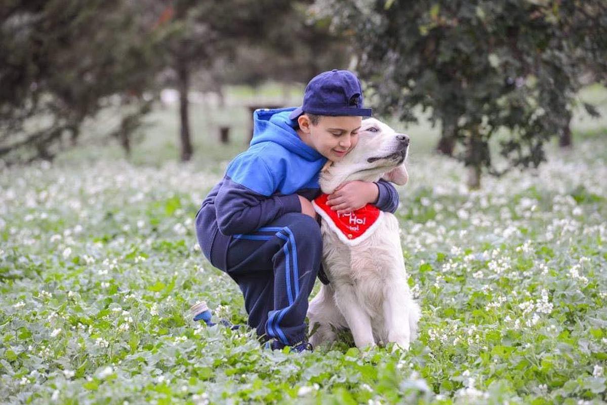 Il-kelb ta' Miguel għadu ma nstabx - appell biex tissokta tfittxija ...