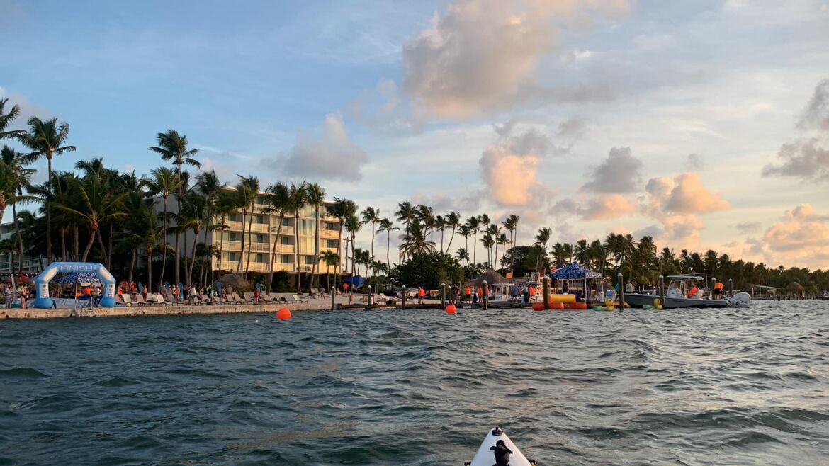 Signorin jirbaħ l-Alligator Lighthouse Swim 2022 - TVMnews.mt
