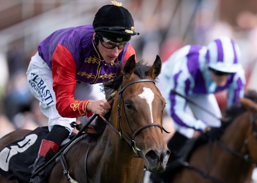 King Charles III to sell 12 racehorses that belonged to the Queen ...