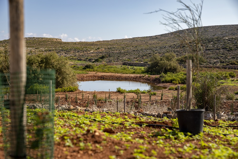 ERA and Ambjent Malta create two new lakes on Comino - TVMnews.mt