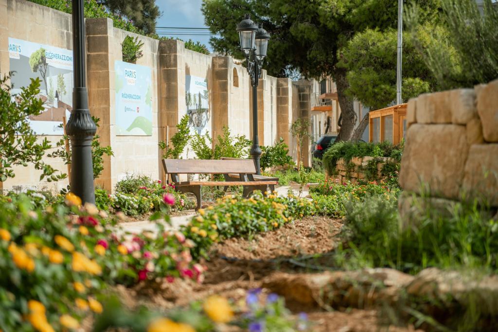 Abandoned piece of land transformed into first ‘pocket garden’ in San ...