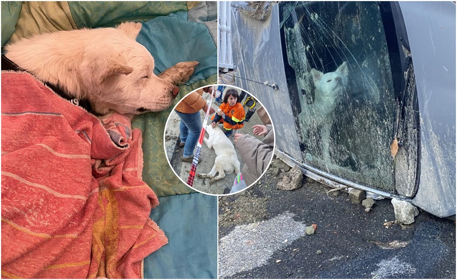 Jerġa' jsib familja wara li tilef lis-sidien tiegħu fil-valanga t ...