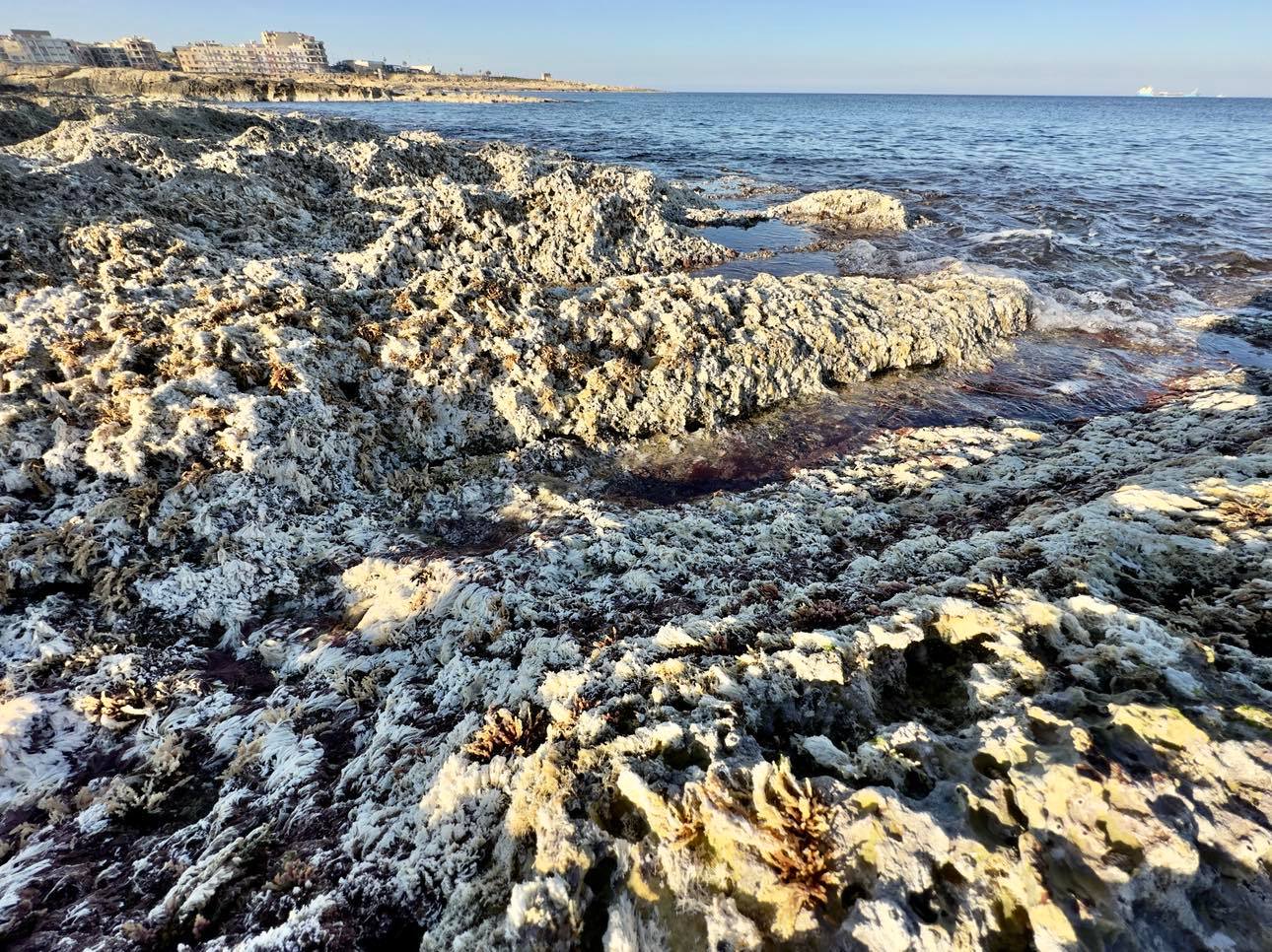 Sea level drops between January and February - TVMnews.mt