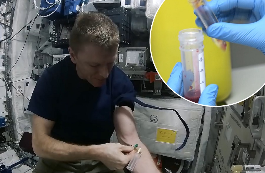 Maltese scientists to research blood cells on astronauts - hoping that ...