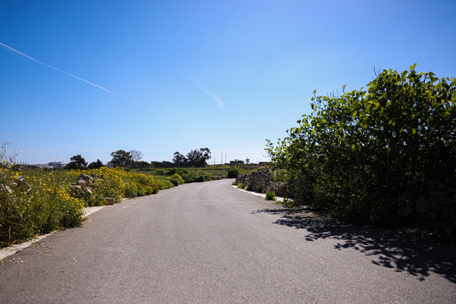 Gudja rural roads become more accessible to farmers and herdsmen ...