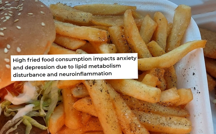 Study shows eating chips may increase anxiety - TVMnews.mt