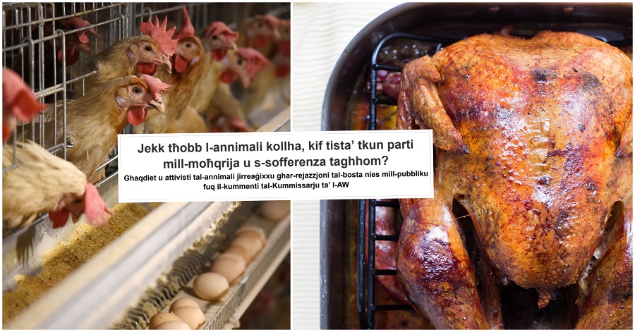 "Fittex l-għajnuna biex tneħħi l-annimali mid-dieta tiegħek" - TVMnews.mt