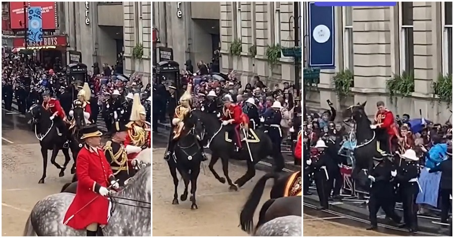 Ara: Jeħilsuha ħafif wara li żiemel tar-Re sfratta - TVMnews.mt