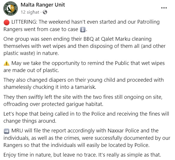 Ilestu minn BBQ u jarmu nappy maħmuġa f'siġra u wet wipes fil-kampanja ...