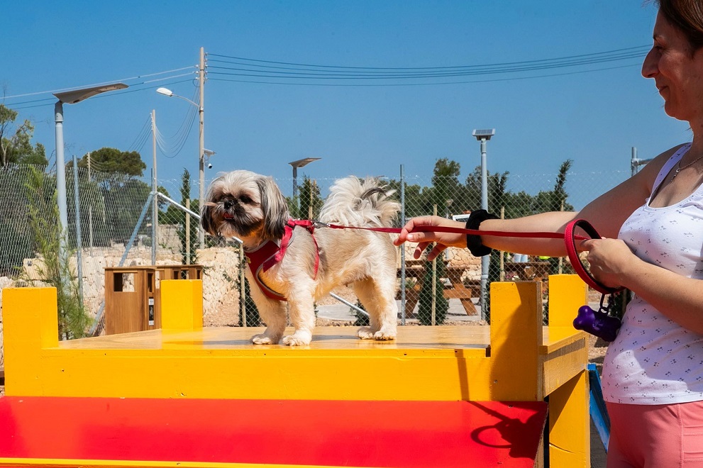 Abandoned site transformed into a dog park and new picnic area at Safi ...