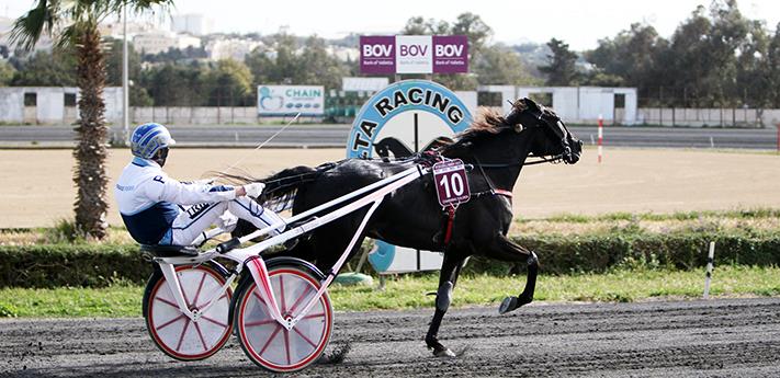 It-tielet rebħa tas-sena għal Charming Soldier fil-Premier - TVMnews.mt