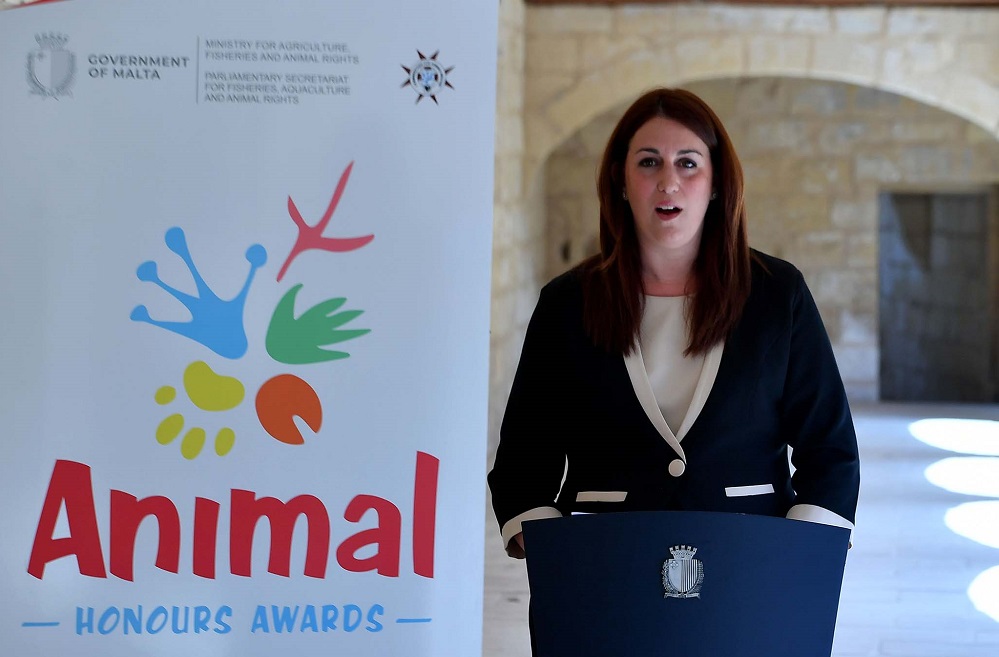 Jinfetħu n-nominazzjonijiet għall-Animal Honours Awards 2023 - TVMnews.mt