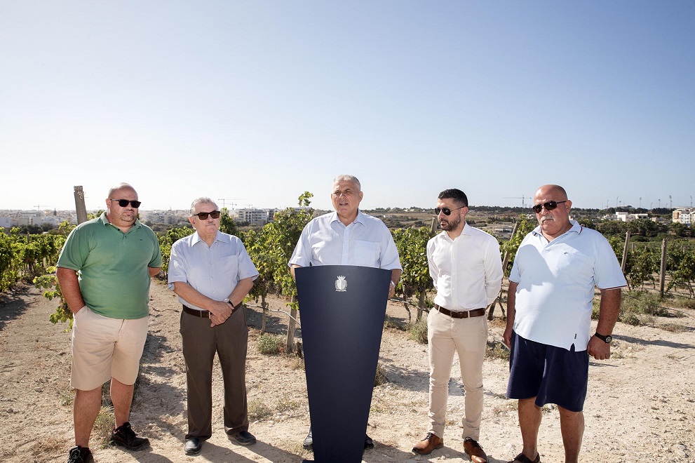 Jiftaħ l-istaġun tal-qtugħ tal-għeneb għall-produzzjoni tal-inbid ...