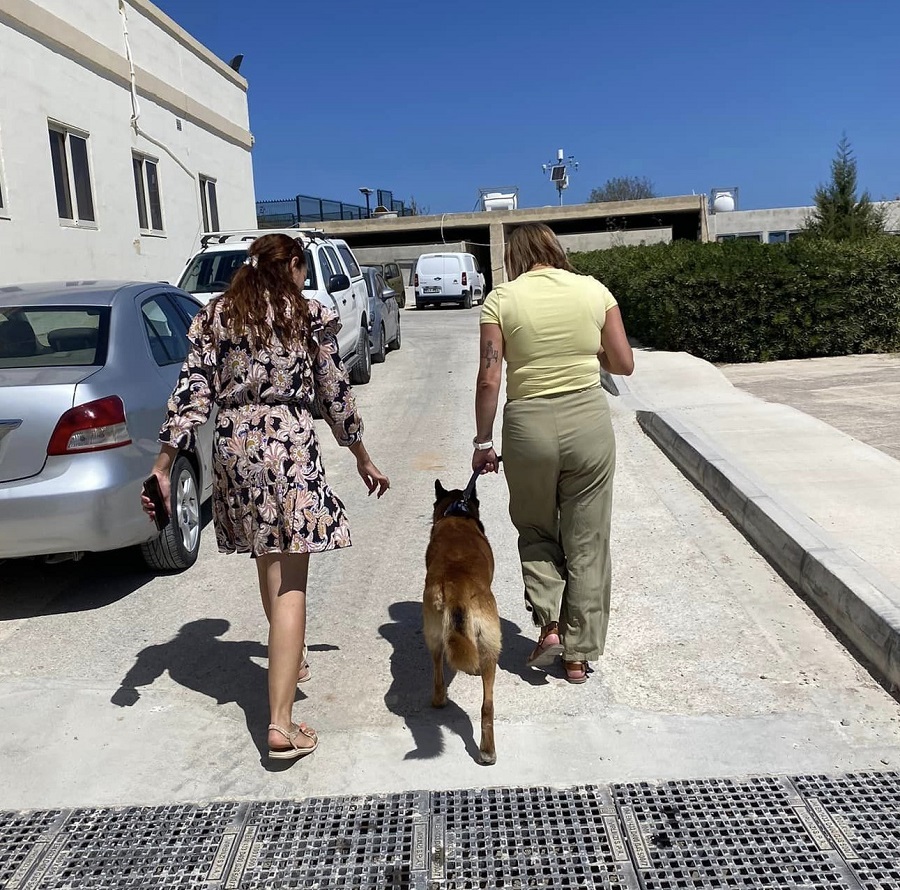 "Thank you for your service" - Police dog Odin retires - TVMnews.mt