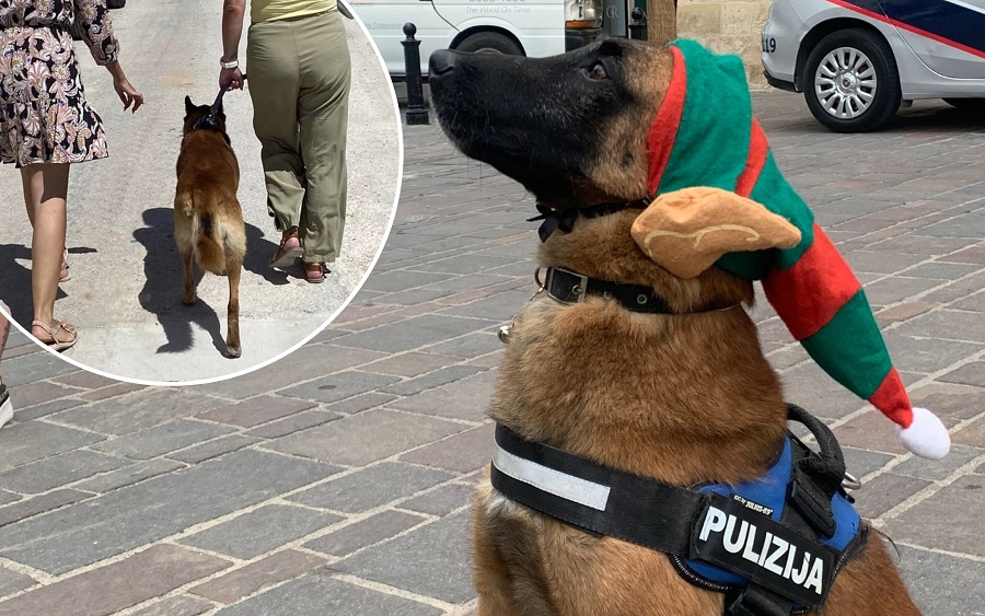 "Thank you for your service" - Police dog Odin retires - TVMnews.mt